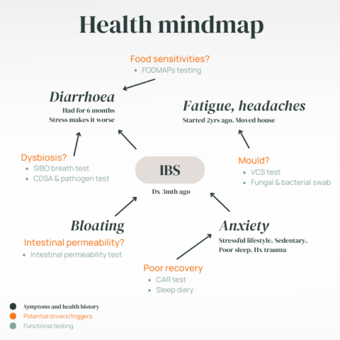 Our Functional Medicine Program | Holistic Health Approach