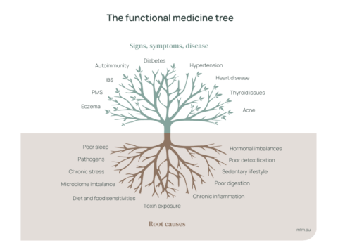 What Is Functional Medicine? | Chronic Disease Management