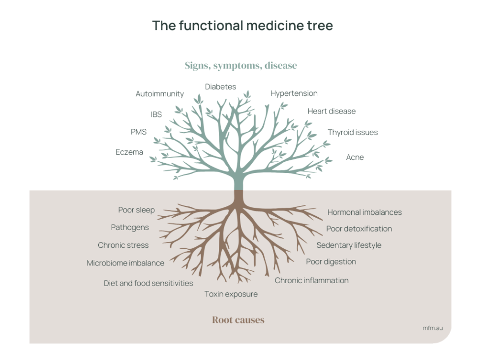 What Is Functional Medicine? | Chronic Disease Management